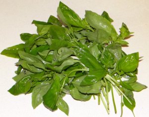 How to Rescue Wilted Basil (or Parsley) – Stefan's Gourmet Blog
