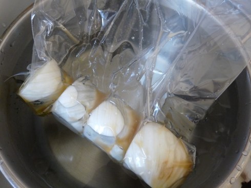 Guest Post: Fennel Fondant Sous-Vide Without Special Equipment – Stefan ...