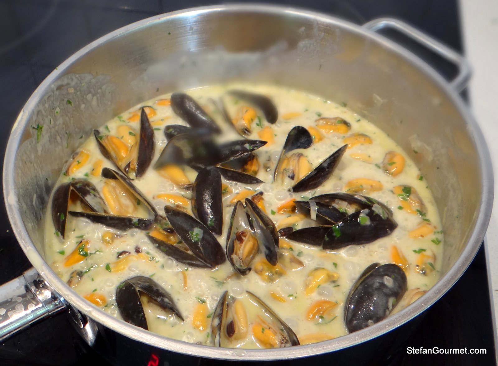 Mussels with Blue Cheese (Moules au Roquefort) – Stefan's Gourmet Blog