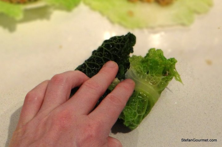 Stuffed Cabbage (Involtini di Verza) – Stefan's Gourmet Blog