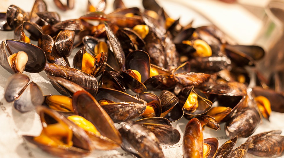 Irish Mussels with Irish Blue Cheese and Irish Parsnips – Stefan's ...