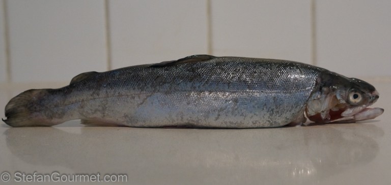 How to Make Fish Paste For Thai Fish Cakes From Scratch – Stefan's ...