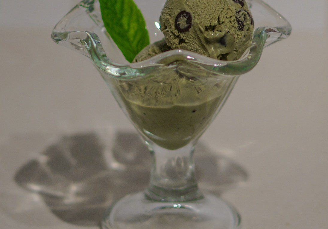 Homemade Mint Ice Cream – Stefan's Gourmet Blog