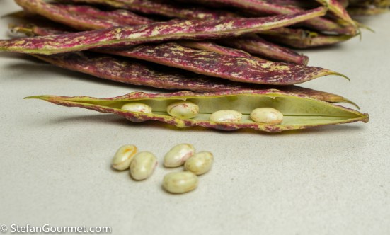Pasta and Fresh Borlotti Beans Soup (Pasta con i Fagioli Freschi ...