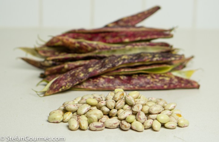 Pasta and Fresh Borlotti Beans Soup (Pasta con i Fagioli Freschi ...