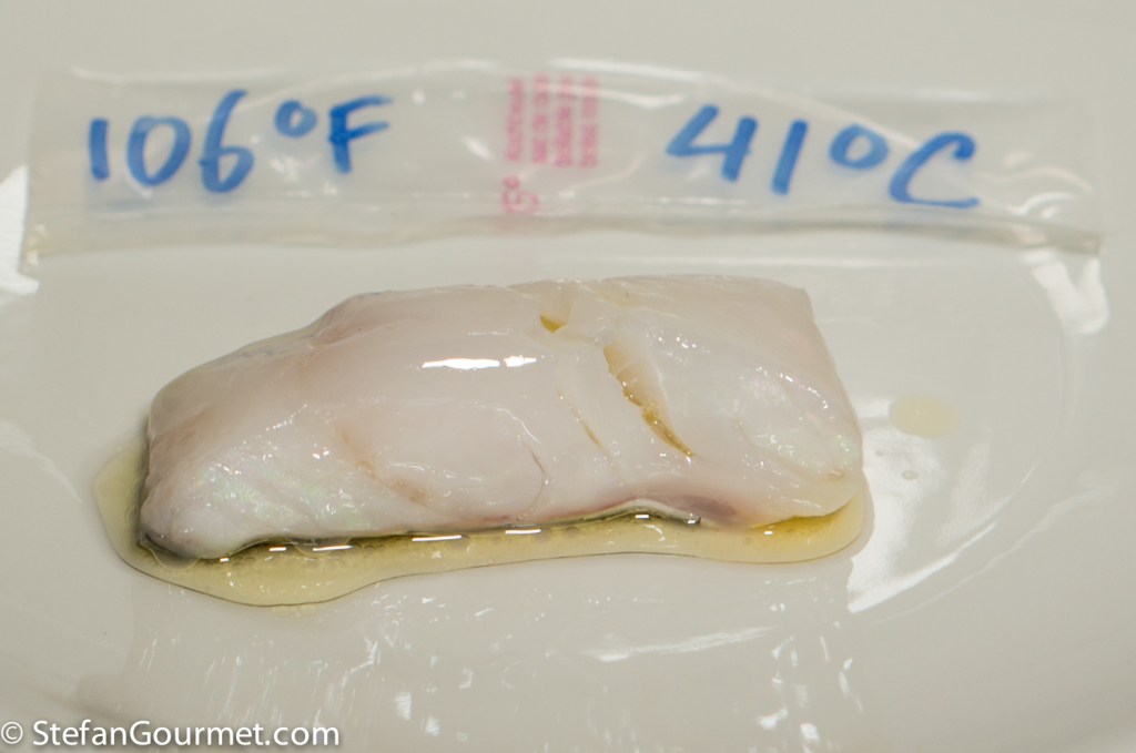 Cod Sous-Vide Temperature Experiment – Stefan's Gourmet Blog