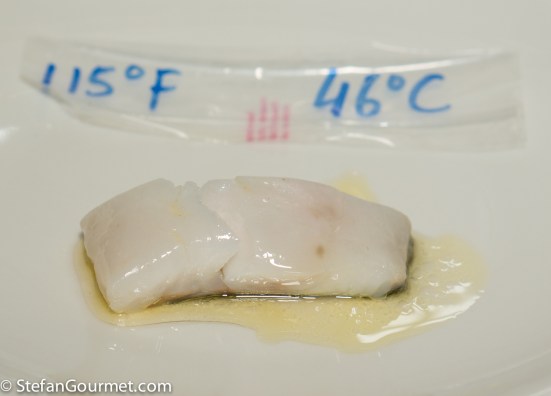 Cod Sous-Vide Temperature Experiment – Stefan's Gourmet Blog