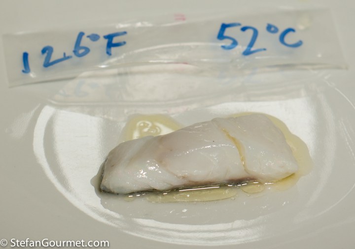 Cod Sous-Vide Temperature Experiment – Stefan's Gourmet Blog