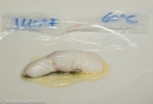 Cod Sous-Vide Temperature Experiment – Stefan's Gourmet Blog