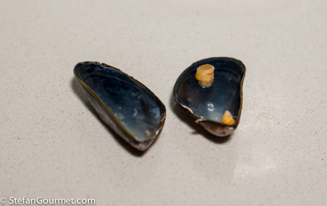 Tigres o Mejillones Rellenos (Stuffed Mussels Tapas) – Stefan's Gourmet ...