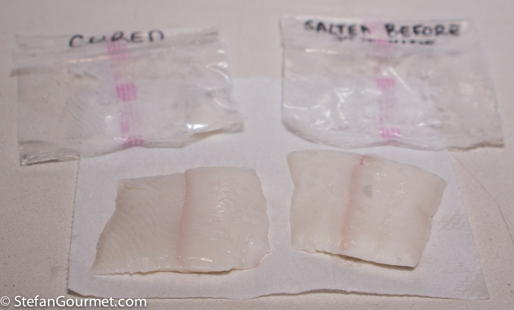 Briefly Curing Fish Before Cooking – Stefan's Gourmet Blog