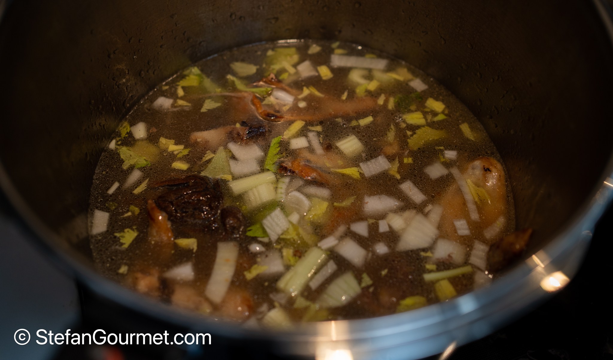 Anolini in Brodo (Round Ravioli in Broth from Parma) – Stefan's Gourmet ...