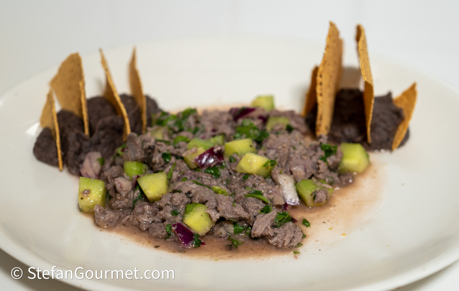 Tzic de Venado Sous Vide (Maya Style Pulled Venison) – Stefan's Gourmet Blog