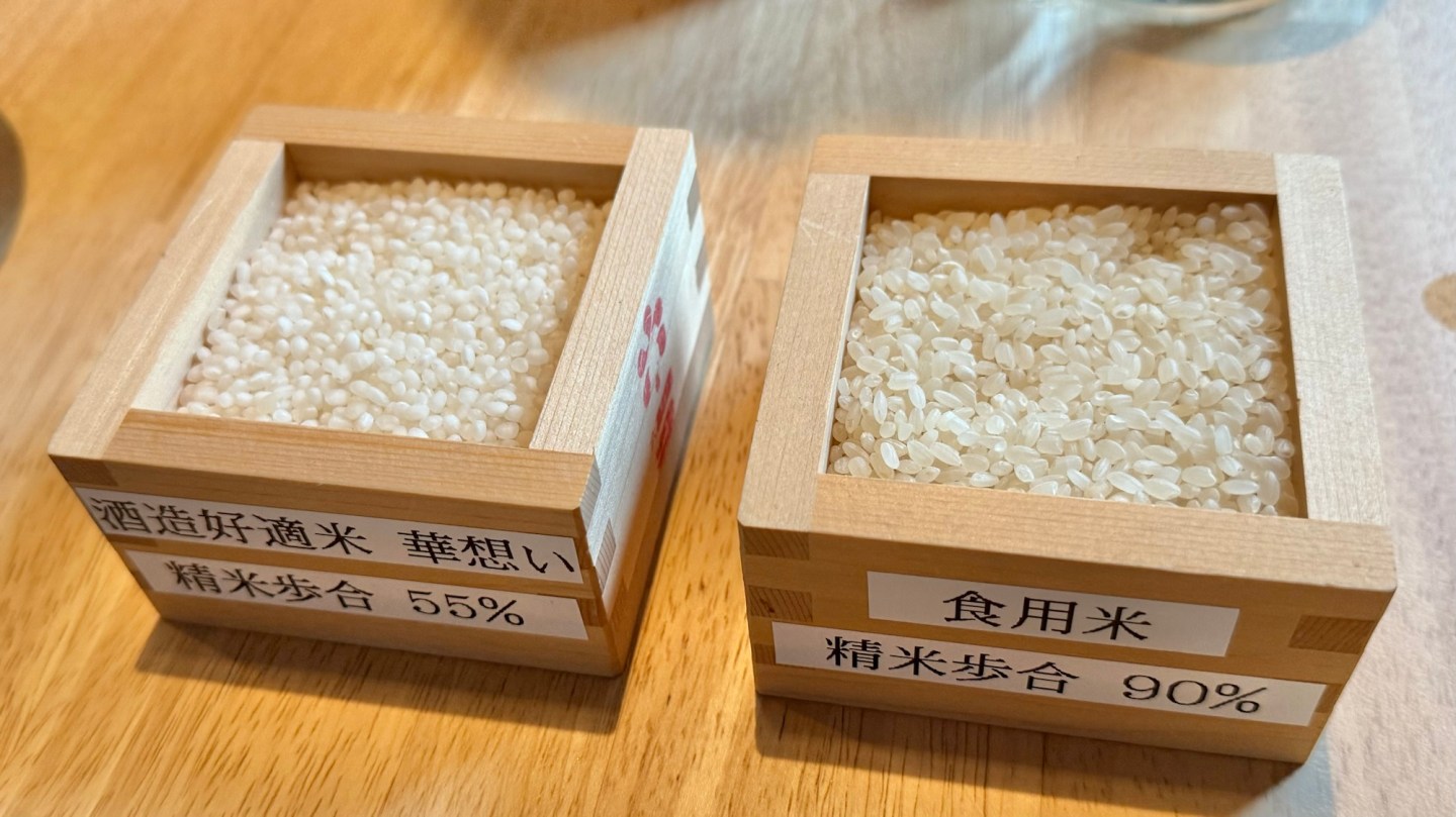 Hokkai Kitchen: Excellent sushi and sake in IJmuiden